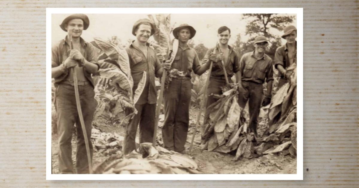 German POWs filled gap on Christian County farms during WWII