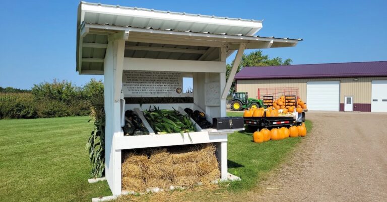 45 Degrees North: Shopping at roadside stands