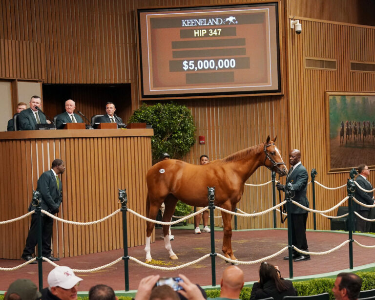 Study in contrasts: Racing, breeding shine in Kentucky as sport dims ...